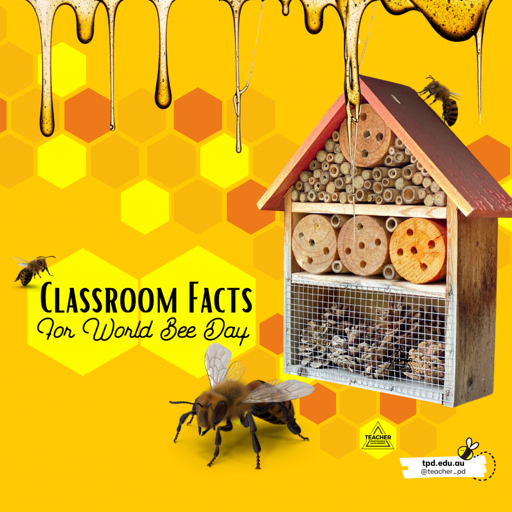 Classroom Facts for World Bee Day - Teacher Professional Development