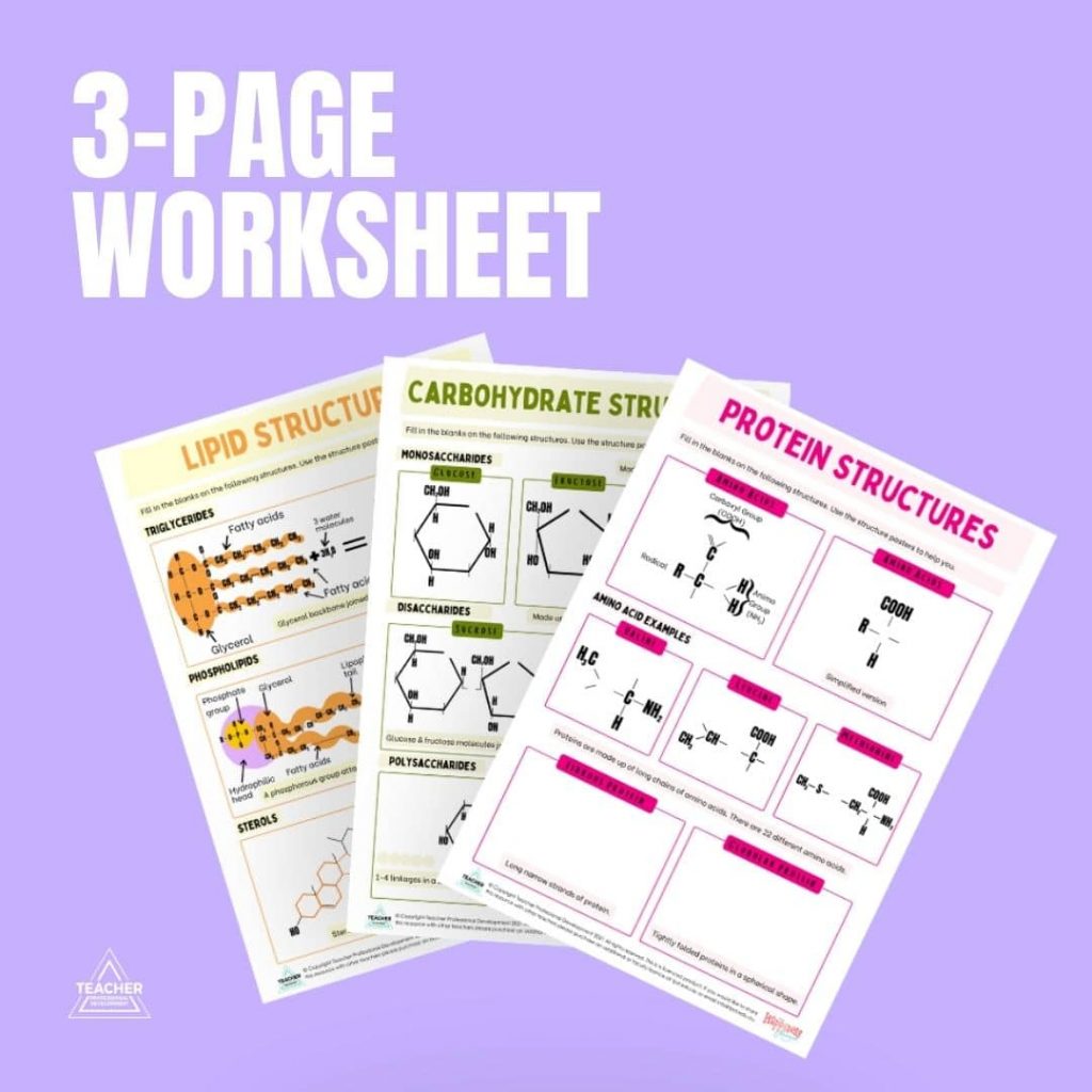 Structure of Carbohydrates, Proteins and Lipids - Teaching Resources