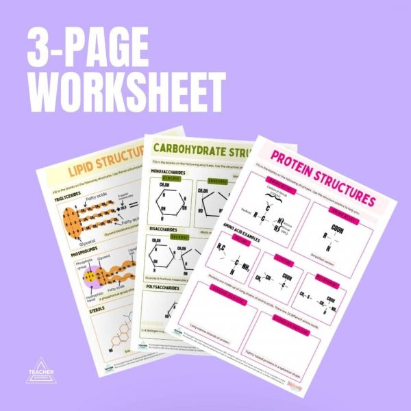 Structure of Carbohydrates, Proteins and Lipids - Teaching Resources