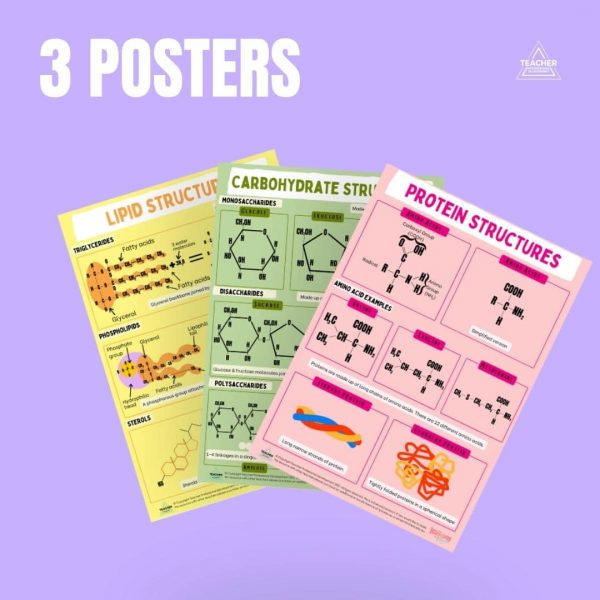 Structure of Carbohydrates, Proteins and Lipids - Teaching Resources