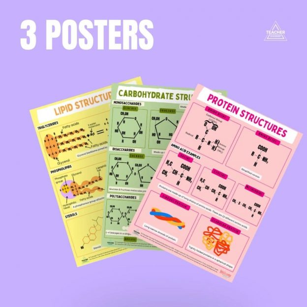 Structure of Carbohydrates, Proteins and Lipids - Teaching Resources