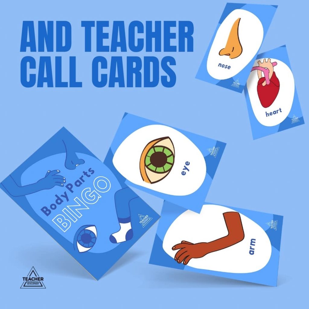Body Parts Bingo Activity - Teacher Professional Development
