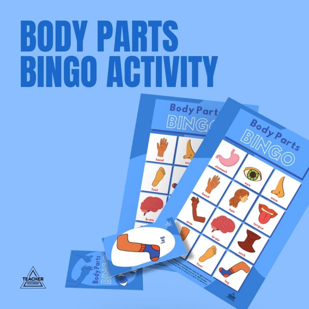 Body Parts Bingo Activity - Teacher Professional Development