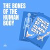 Bones of the Human Body Activity - Teacher Professional Development