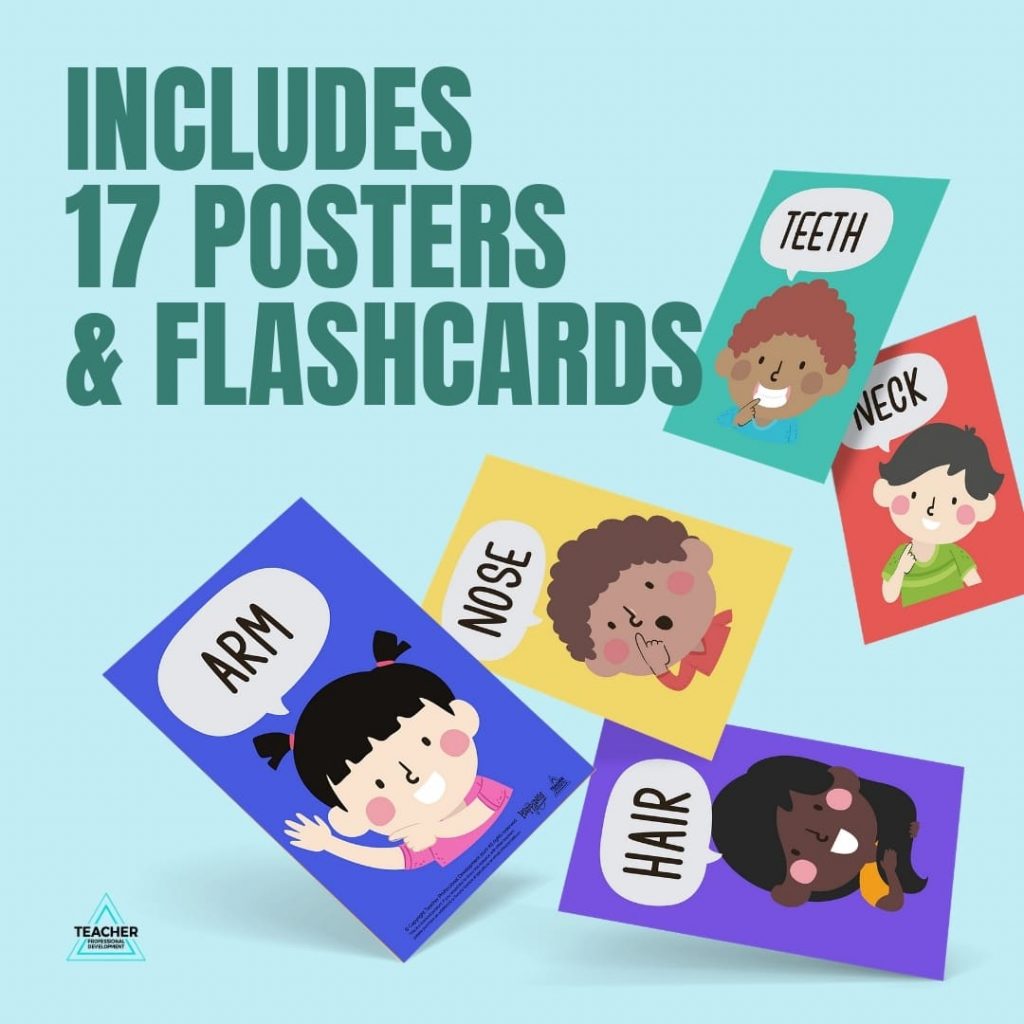 Body Parts Posters & Flashcards - Teacher Professional Development