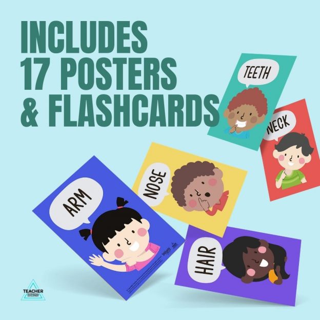 Body Parts Posters & Flashcards - Teacher Professional Development
