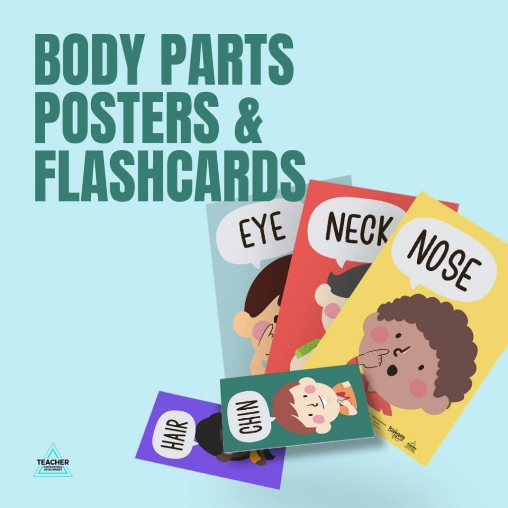Body Parts Posters & Flashcards - Teacher Professional Development