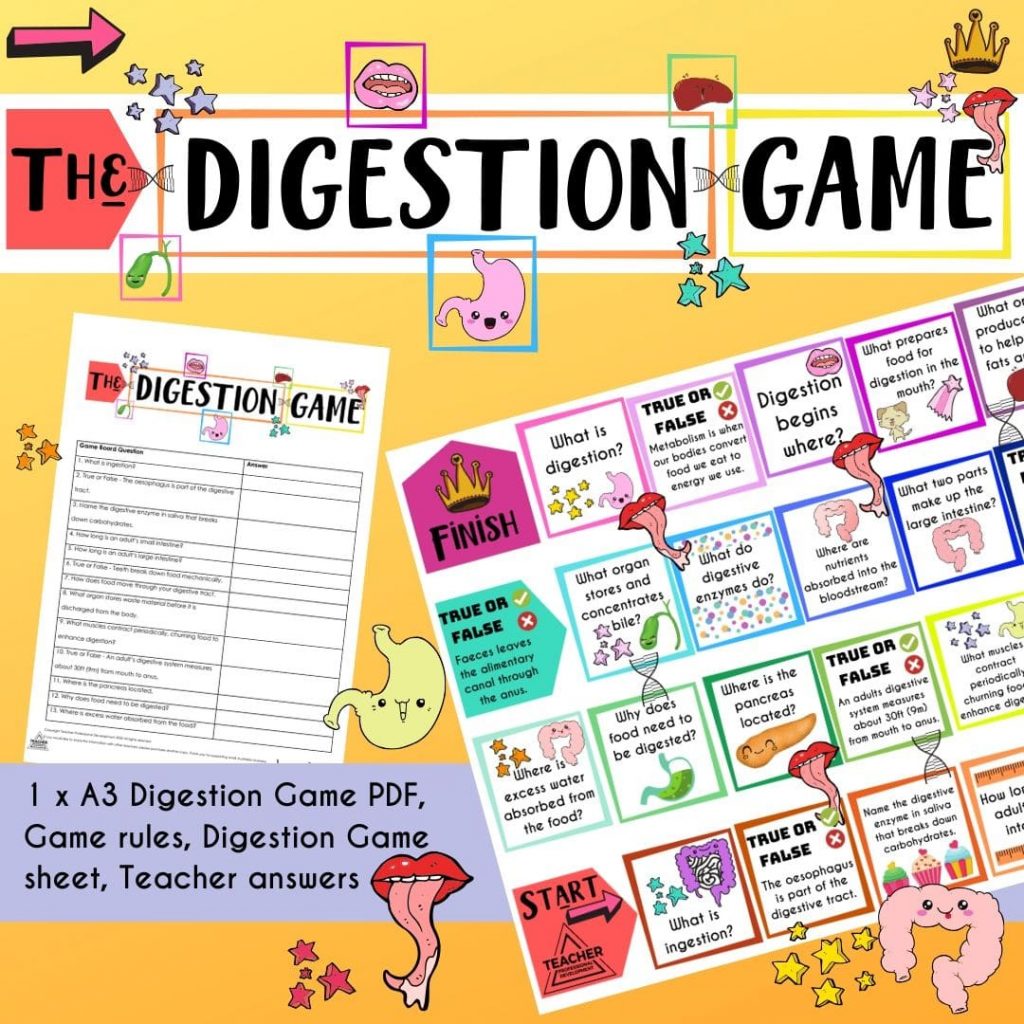 Digestion Game A3 - Teaching Resources