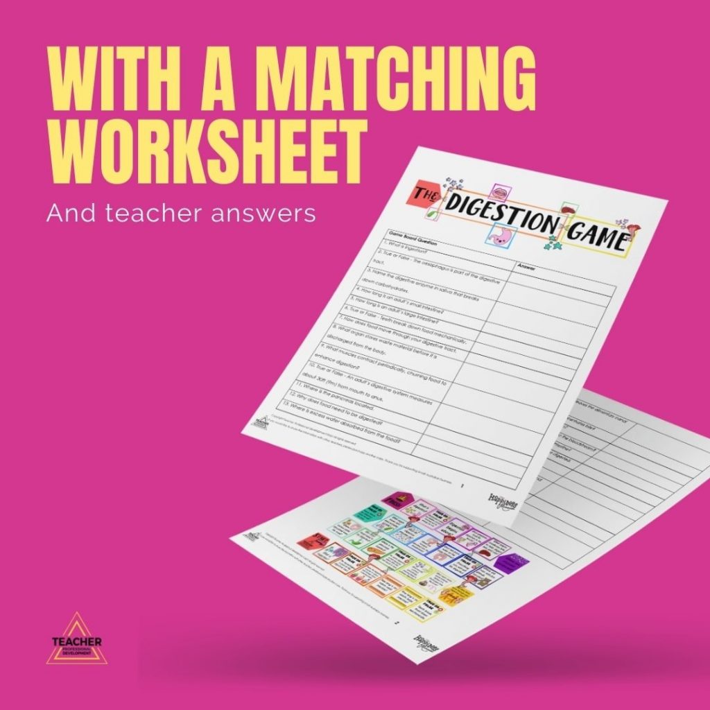Digestion Game A3 - Teaching Resources