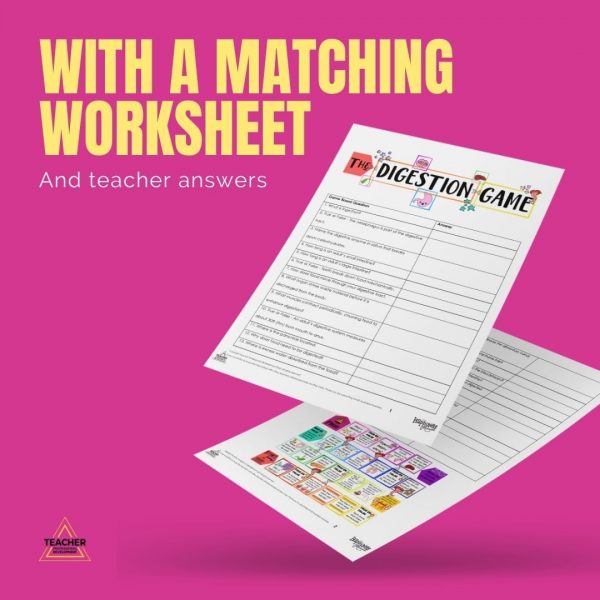Digestion Game A3 - Teaching Resources