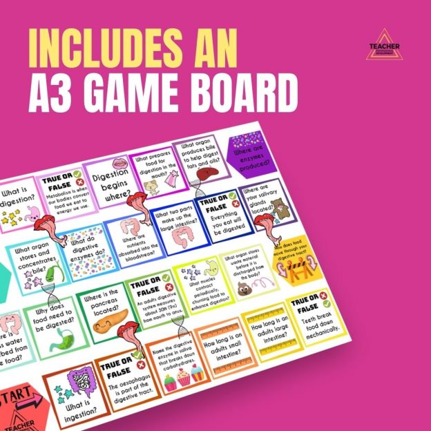 Digestion Game A3 - Teaching Resources