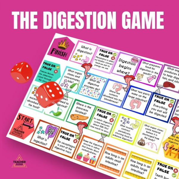 Digestion Game A3 - Teaching Resources