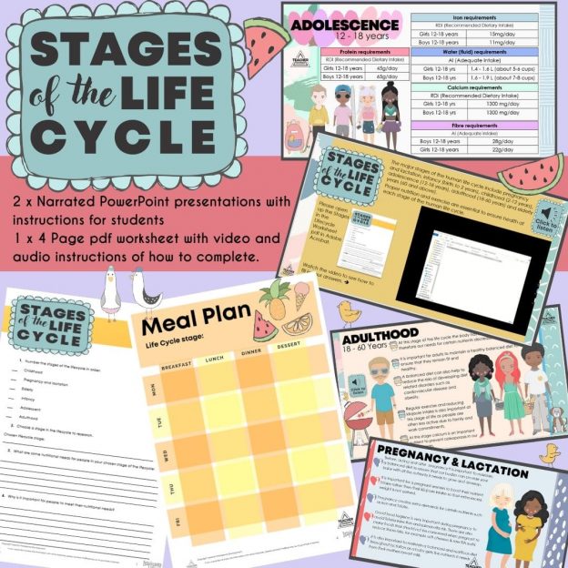 Stages of the Life Cycle Online Learning - Teaching Resources
