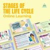 Stages of the Life Cycle Online Learning - Teaching Resources