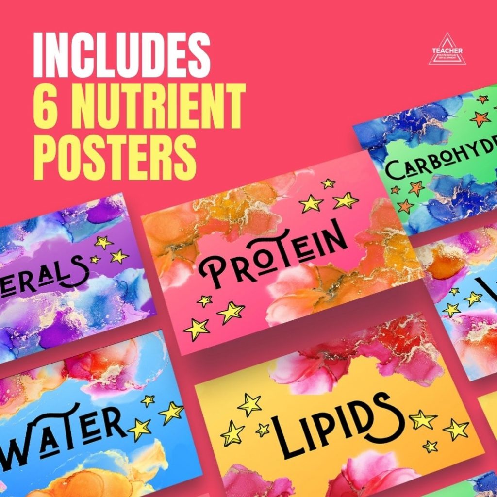 Essential Nutrients Match-Up Activity