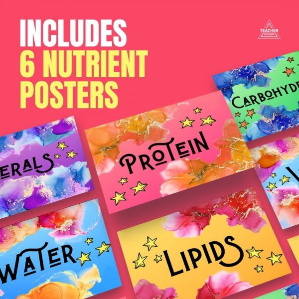 Essential Nutrients Match-Up Activity