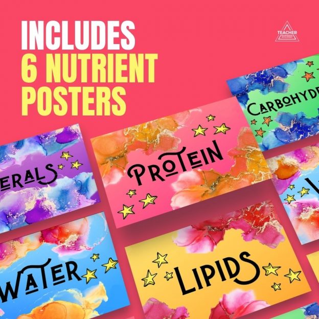 Essential Nutrients Match-Up Activity