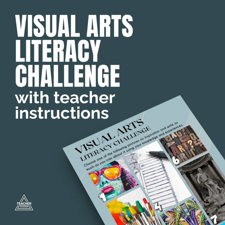 Visual Arts Literacy Challenge - Teacher Professional Development