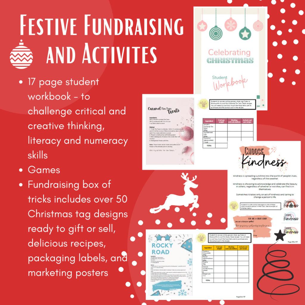 Festive Fundraising and Activity Pack - Teacher Professional Development