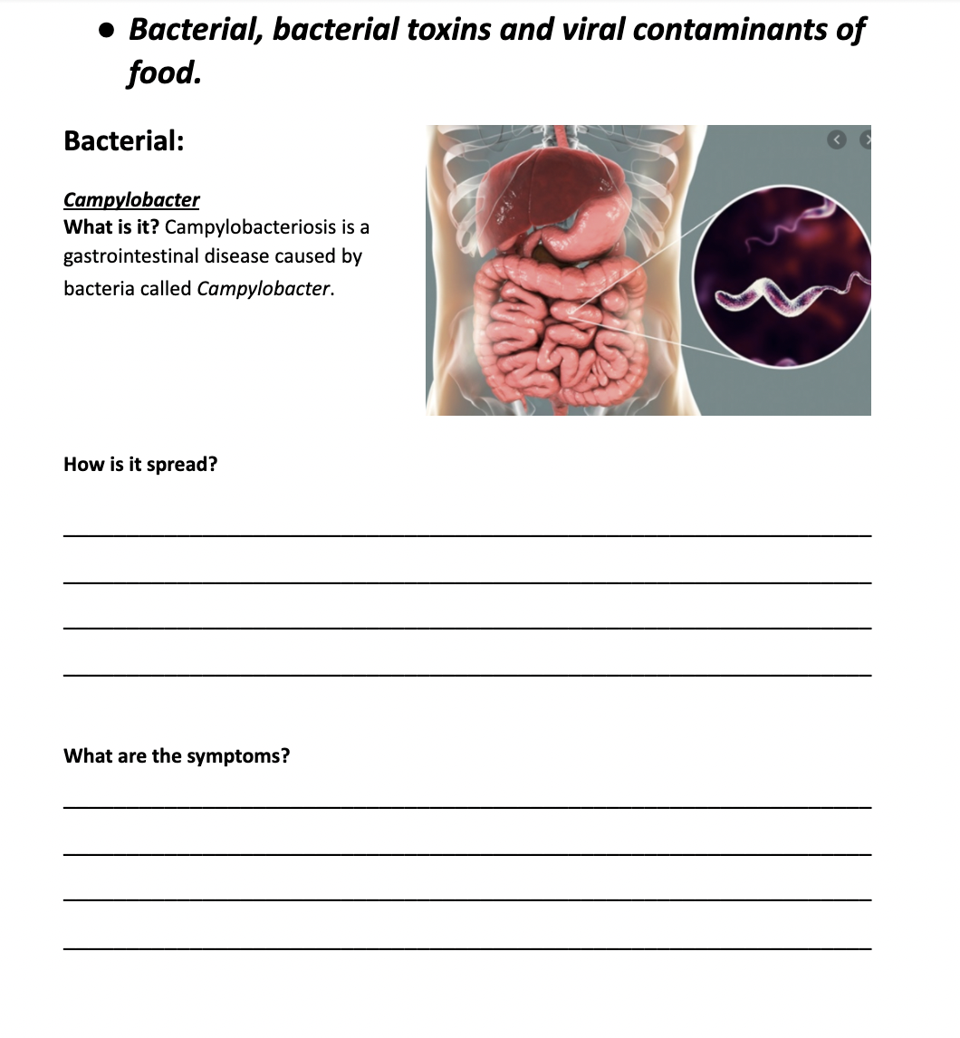 HSC Theory & Revision Booklet Hospitality - Teacher Resource