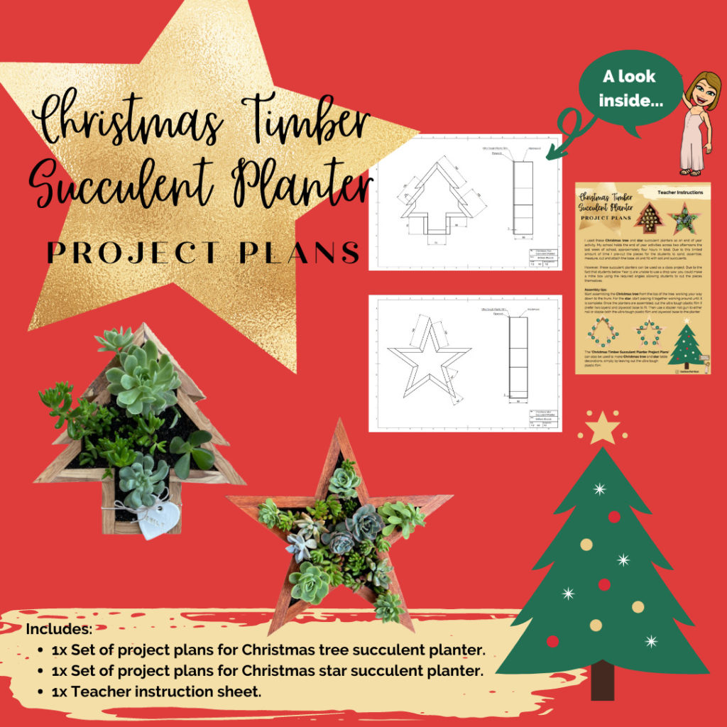 Christmas Timber Succulent Planter Project Plans - Teacher Professional ...