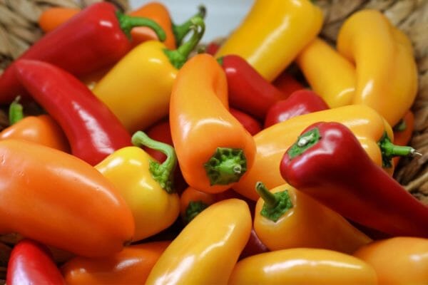 Health Benefits of Chilli - Teacher Professional Development