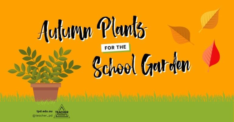 Autumn Plants for the School Garden - Teacher Professional Development
