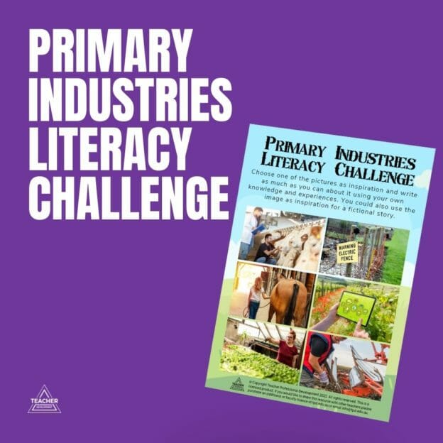 Digital Technologies Literacy Challenge - Teaching Resources
