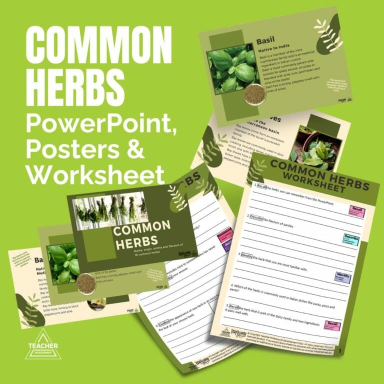 NRL & NRLW Jersey Design Challenge - Teaching Resource