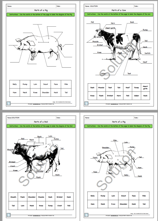 Agriculture Lessons for Busy Teachers Set 2 - "Animal Production 1 ...