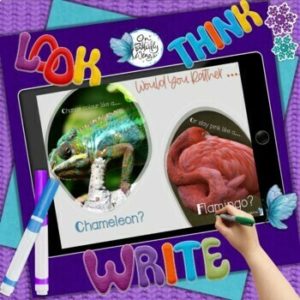Sentence Writing Grade 4 Term 1 - Teacher Resource