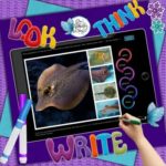 Sentence Writing Grade 3 Term 2 - Teacher Resource