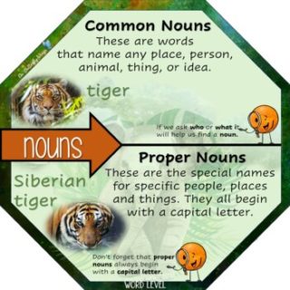 Parts of Speech Posters Jungle - Teacher Resource