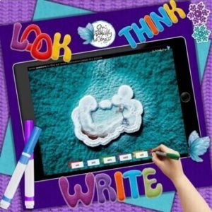 Sentence Writing Composite Grades 2 & 3 Term 2 - Resources