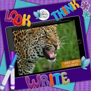 Visual Writing Prompts Animals Set 1 - Teacher Resources