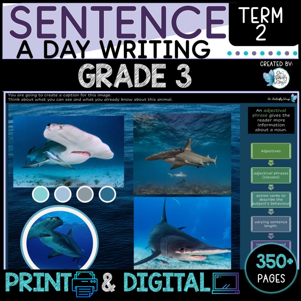 Sentence Writing Grade 3 Term 2 - Teacher Resource