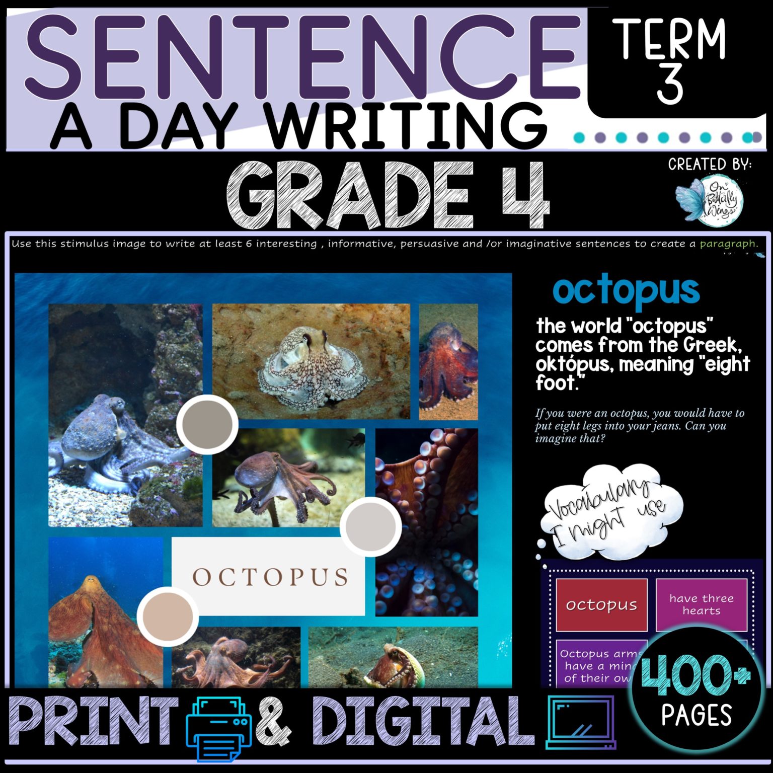 Sentence Writing Grade 4 Term 1 - Teacher Resource