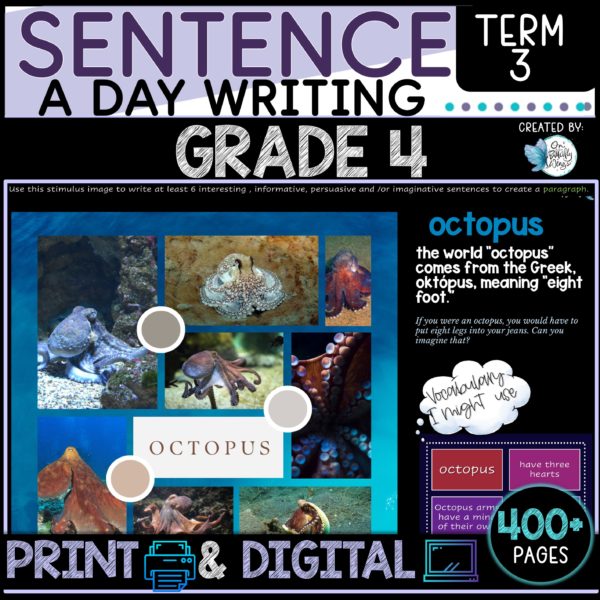 Sentence Writing Grade 4 Term 3 - Teacher Resource