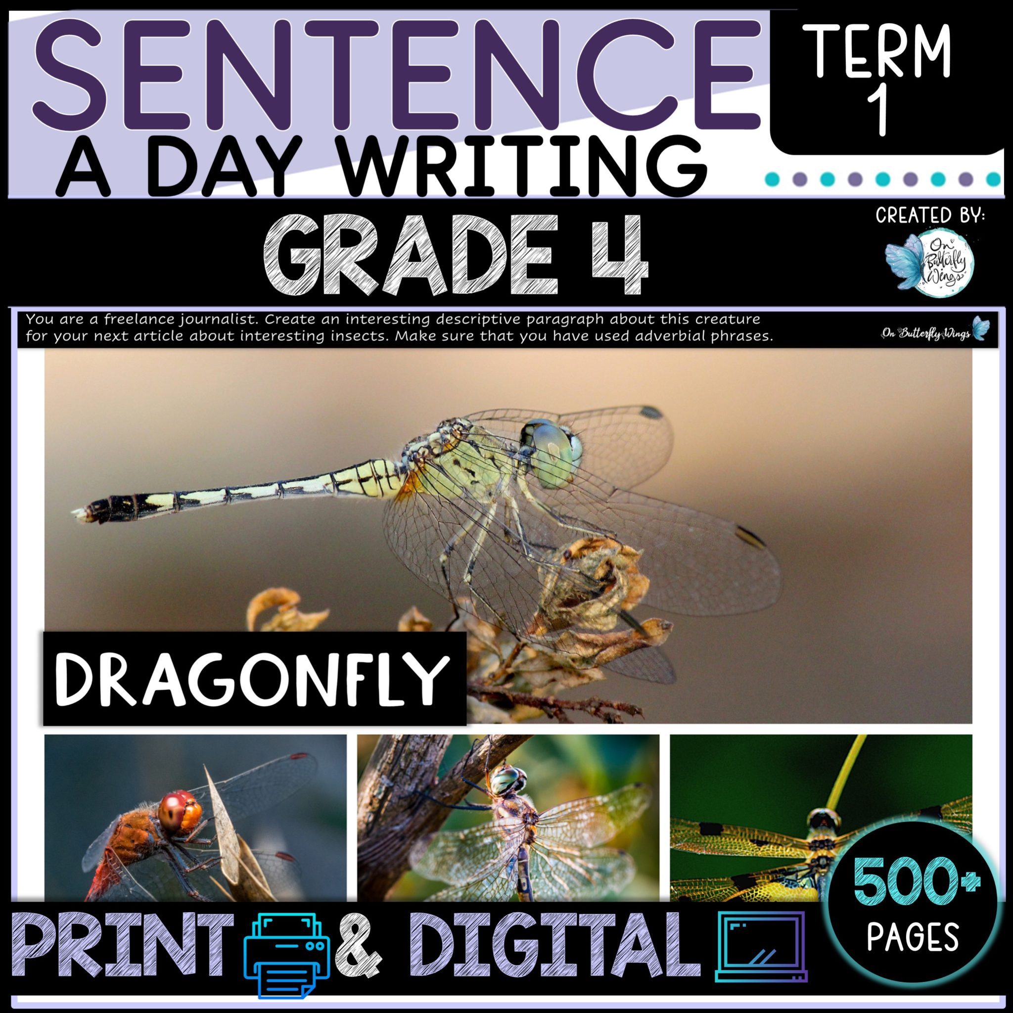 Sentence Writing Grade 4 Term 1 - Teacher Resource