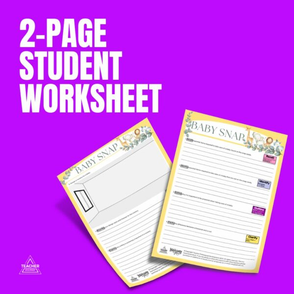 Baby Snap - Teaching Resources