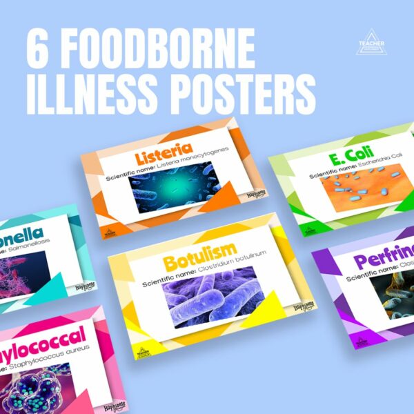 Foodborne Illnesses Match Up - Teaching Resources