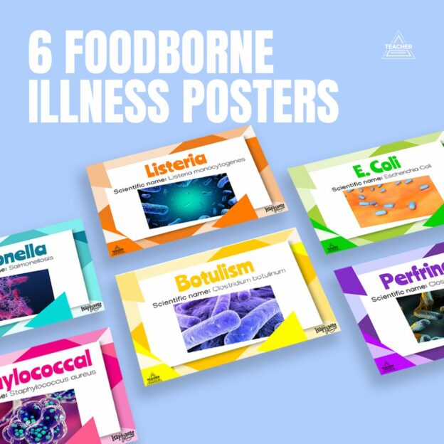 Foodborne Illnesses Match Up - Teaching Resources