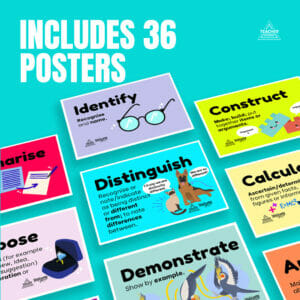 Key Terms Posters Teaching Resource
