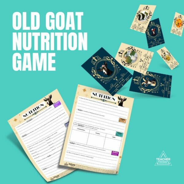 Digestion Game A3 - Teaching Resources