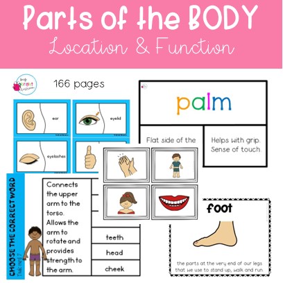 Discover Body Parts and Engaging Facts - Teacher Professional Development