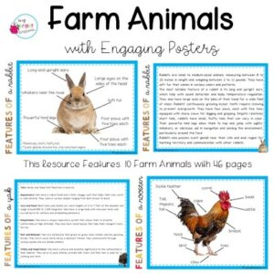 Farm Animal Posters - Information Report - Teacher Professional Development