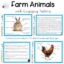 Farm Animal Posters - Information Report - Teacher Professional Development