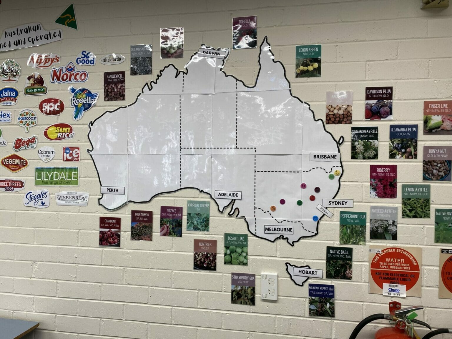 Native Ingredient Cards - Teacher Professional Development