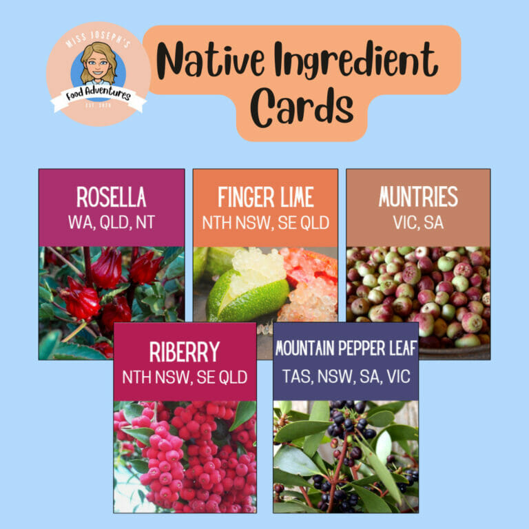 Native Ingredient Cards - Teacher Professional Development