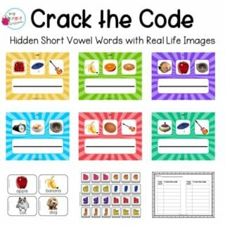 Fact and Opinion Sort Cards - Teacher Professional Development